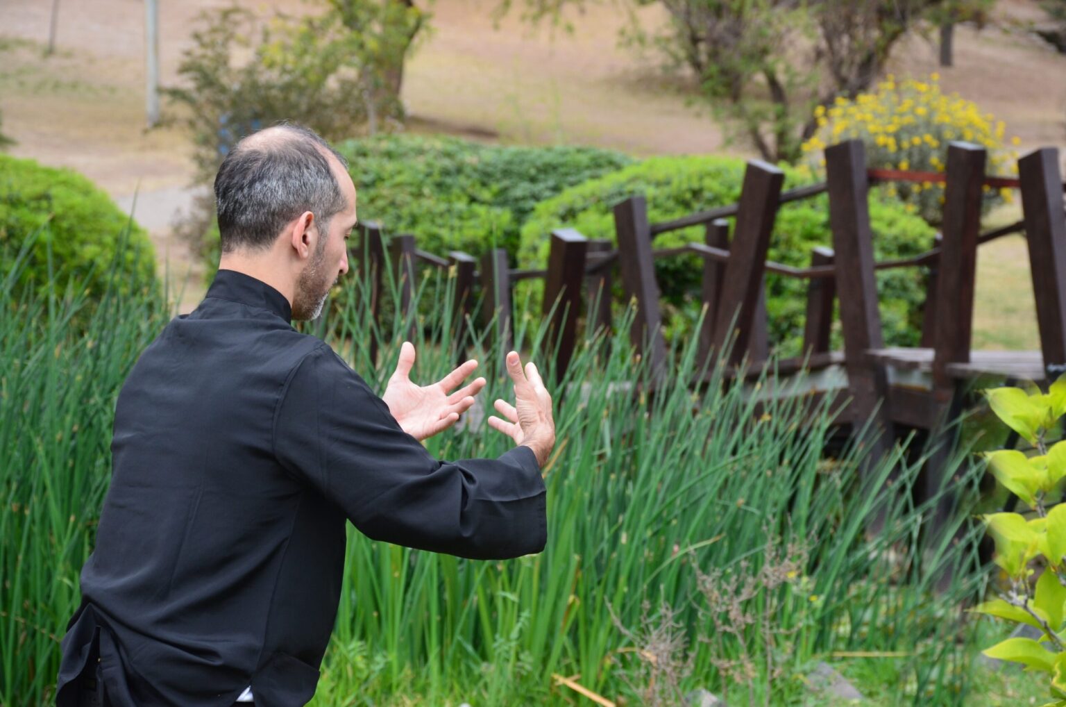 Incrementa tu energía con Qi Gong - Ki Zen